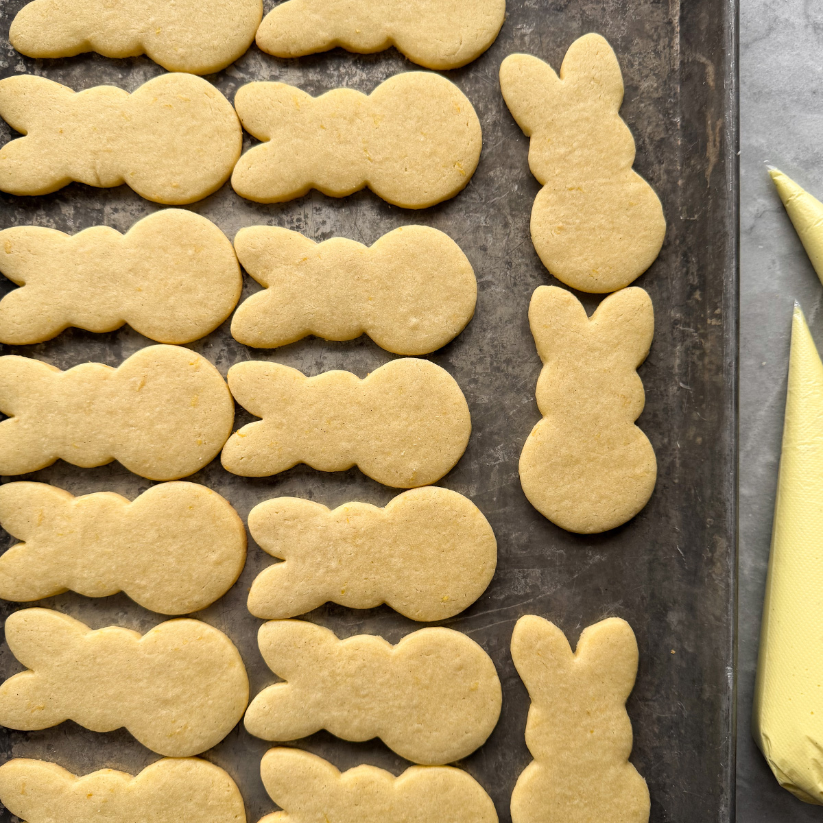 meyer lemon peeps cut out sugar cookies - Linen & Gray